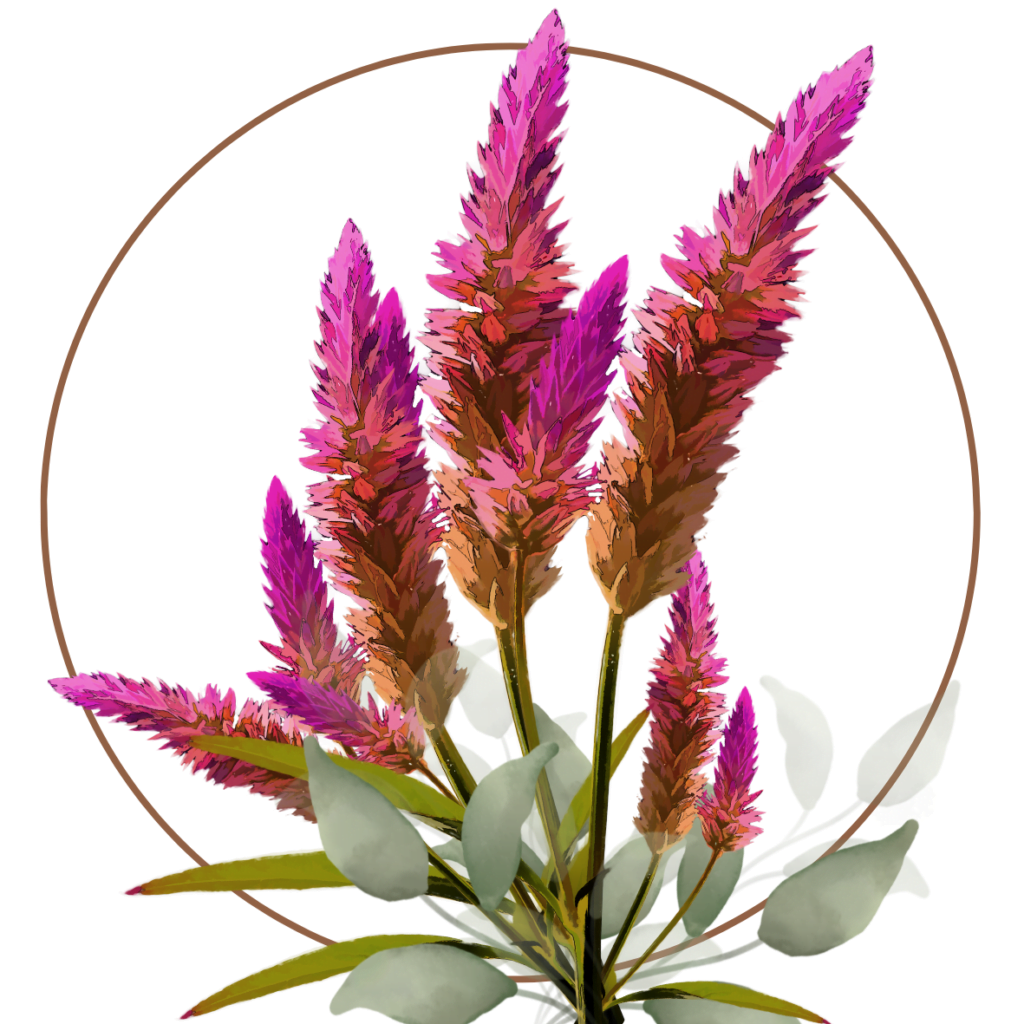 7 Must Have Birthday Flowers: Your Free Guide I Kaiflora