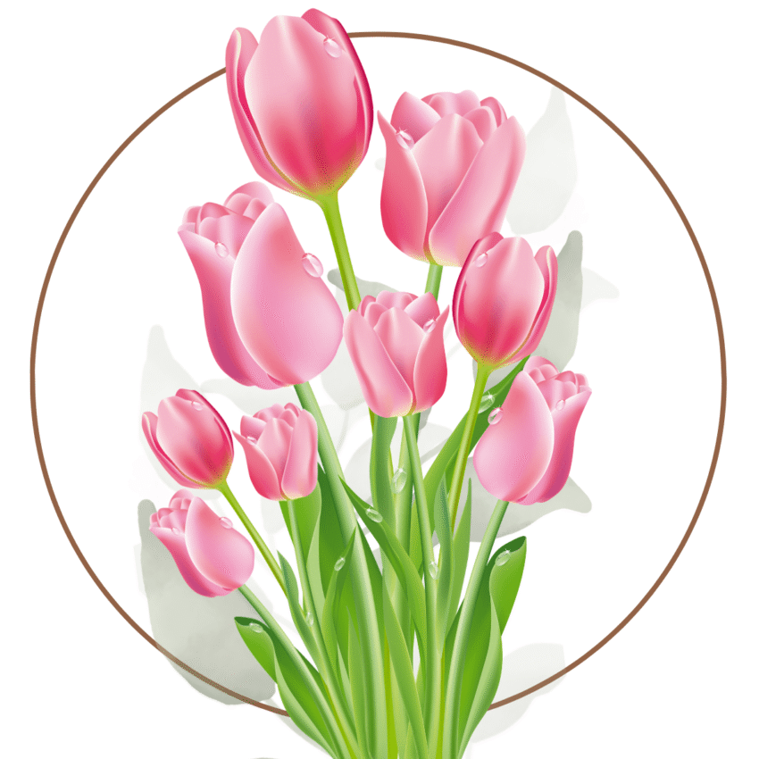 Size Guide By Kaiflora I 4 Perfect Flowers South Africa