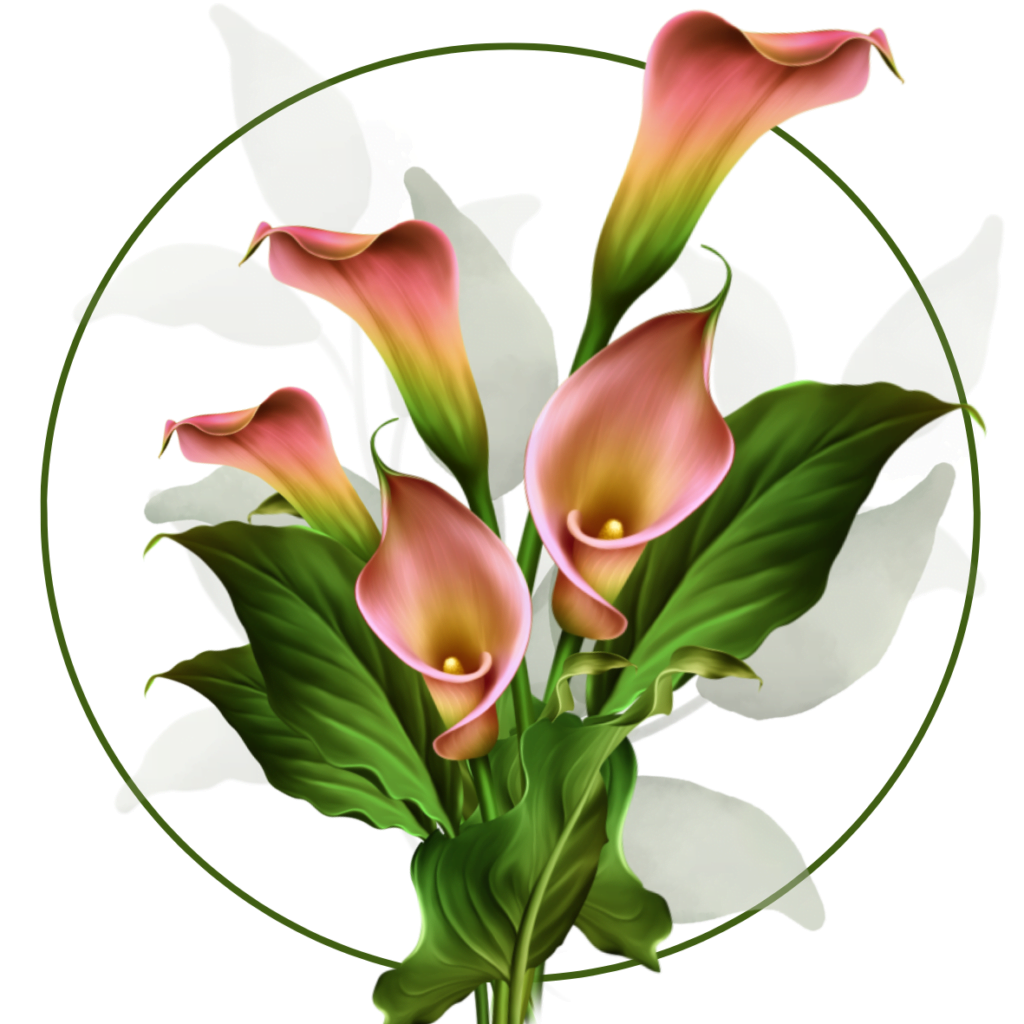 7 Must Have Birthday Flowers: Your Free Guide I Kaiflora